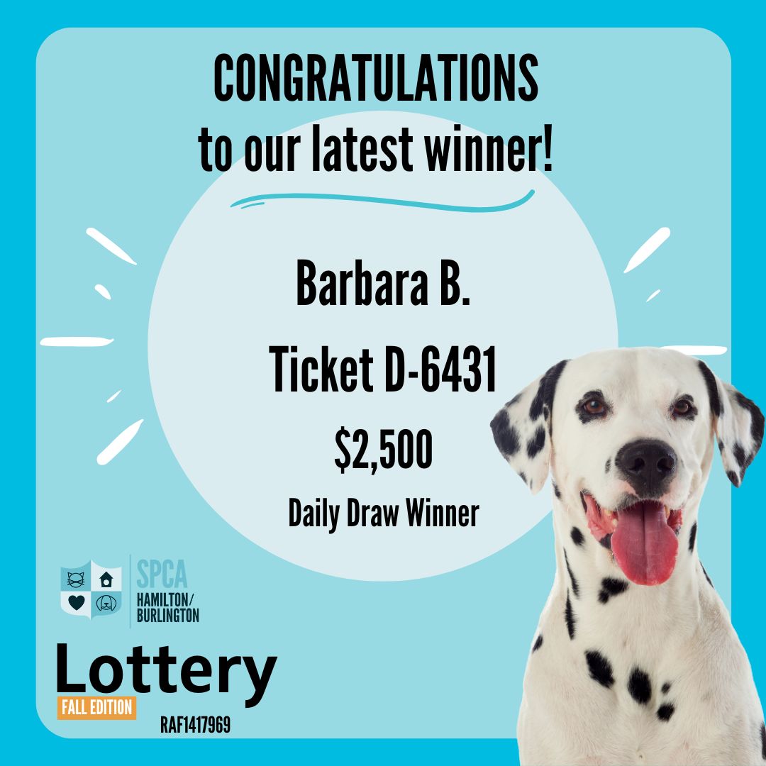 Raising more in Canada with Rafflebox